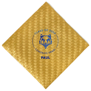 Class of School Mascot Napkin | Diamond Luncheon Napkin | For Your Party
